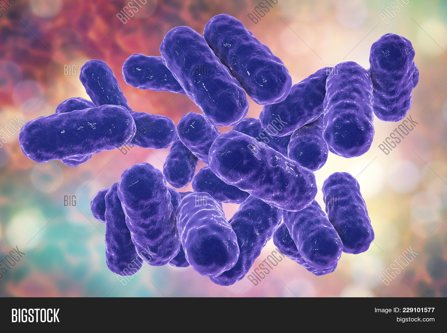 Imagen y foto Enterobacter (prueba gratis) | Bigstock