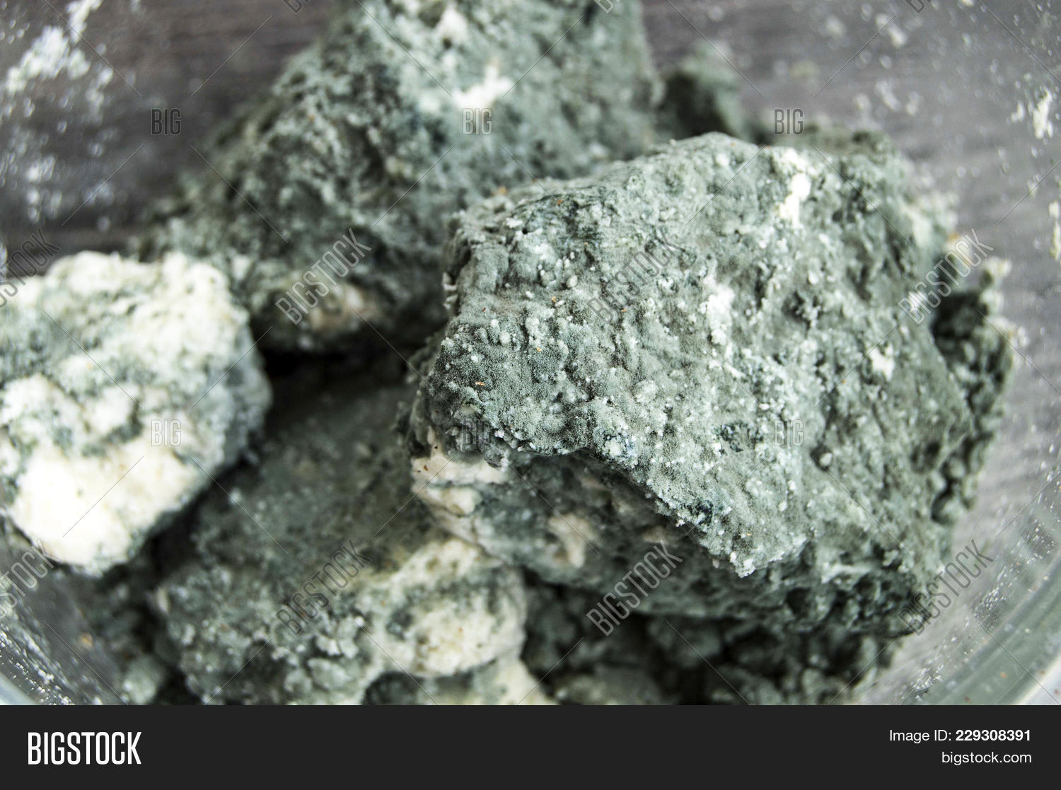 Moldy Cheese, Green Image & Photo (Free Trial) | Bigstock
