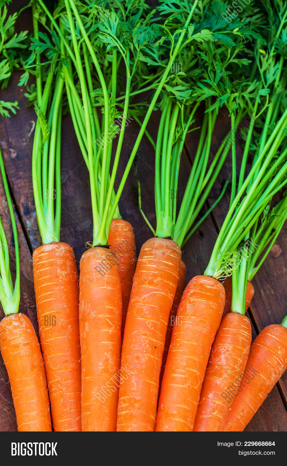 Raw Carrots On Rdark Image & Photo (Free Trial) | Bigstock