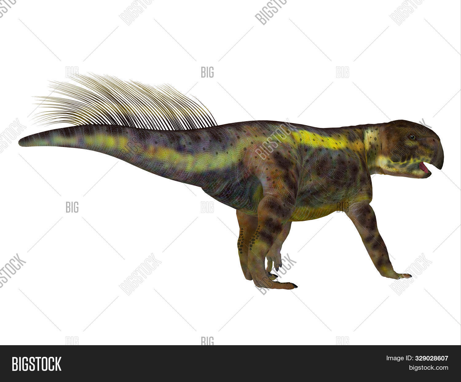 Psittacosaurus Image & Photo (Free Trial) | Bigstock