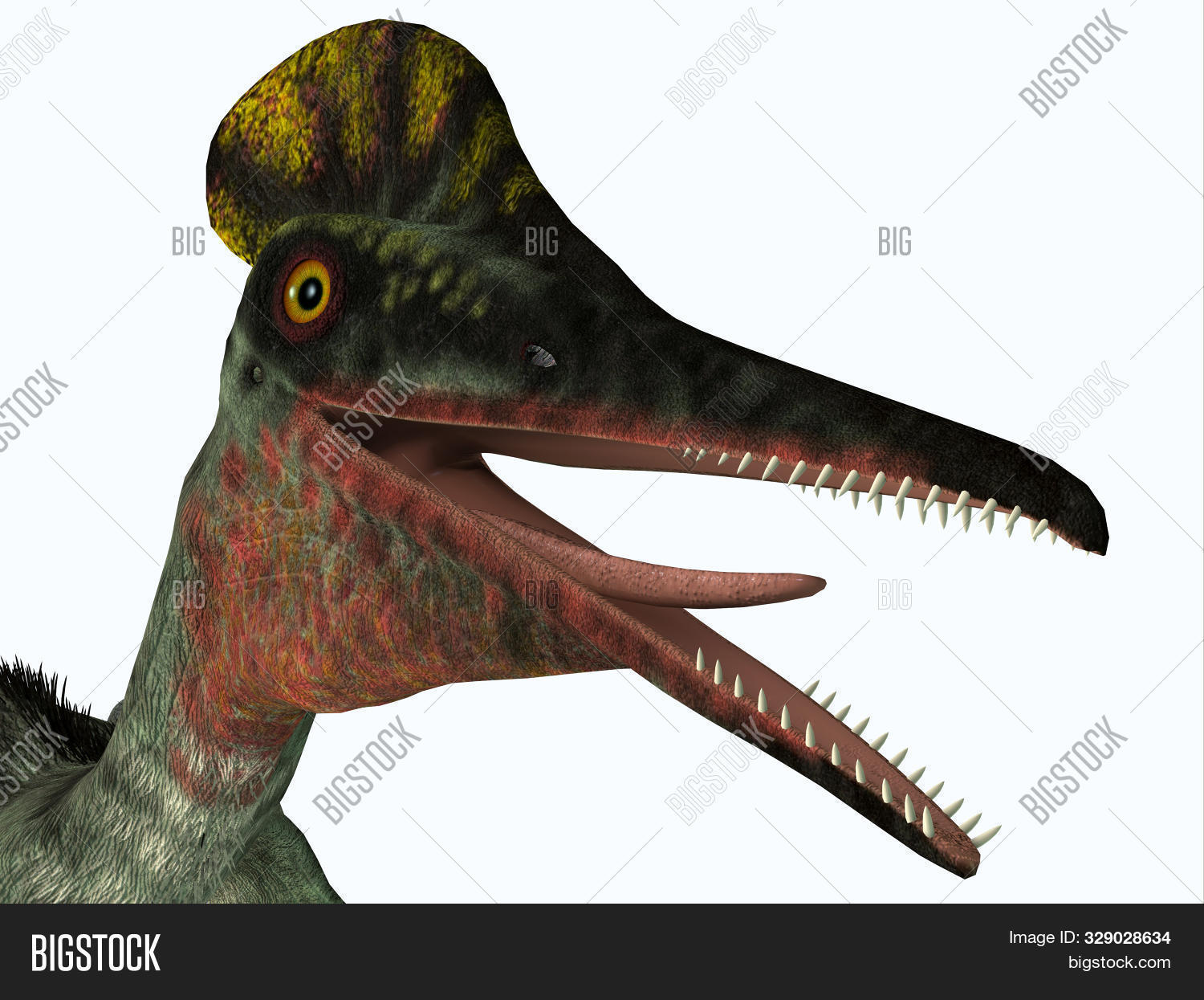Pterodactylus Image & Photo (Free Trial) | Bigstock
