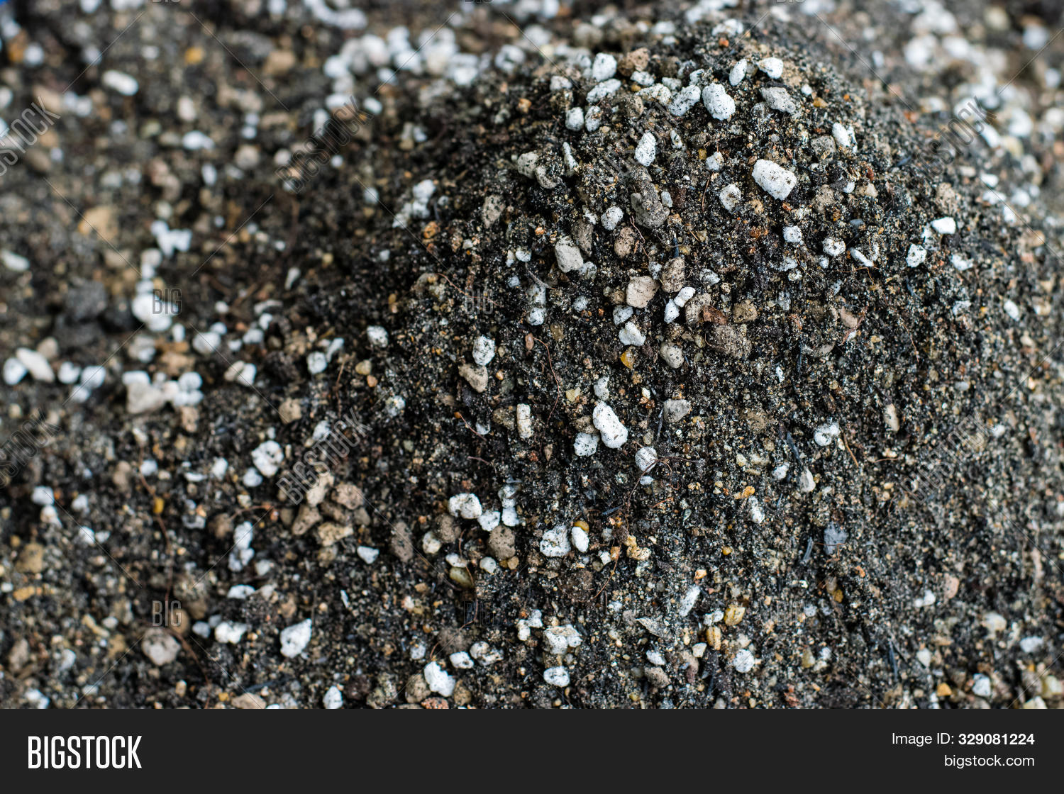 Mixed Soil Growing Image & Photo (Free Trial) | Bigstock