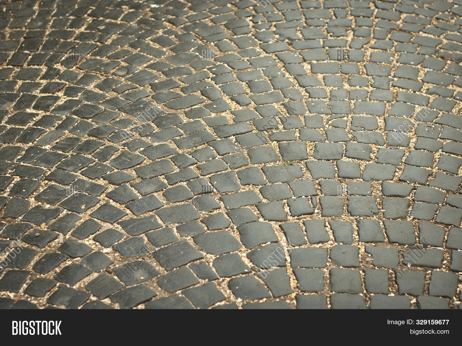 Blank Street Tile Image & Photo (Free Trial) | Bigstock