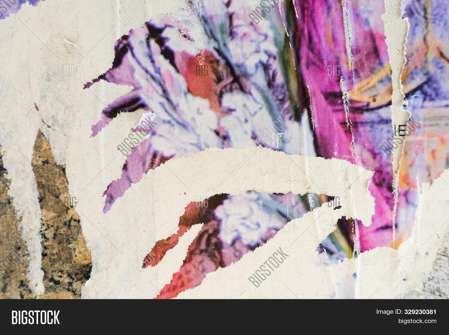 Old Grunge Ripped Torn Image & Photo (Free Trial) | Bigstock