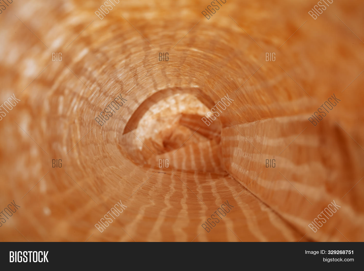 Inside Paper Bag Chute Image & Photo (Free Trial) | Bigstock