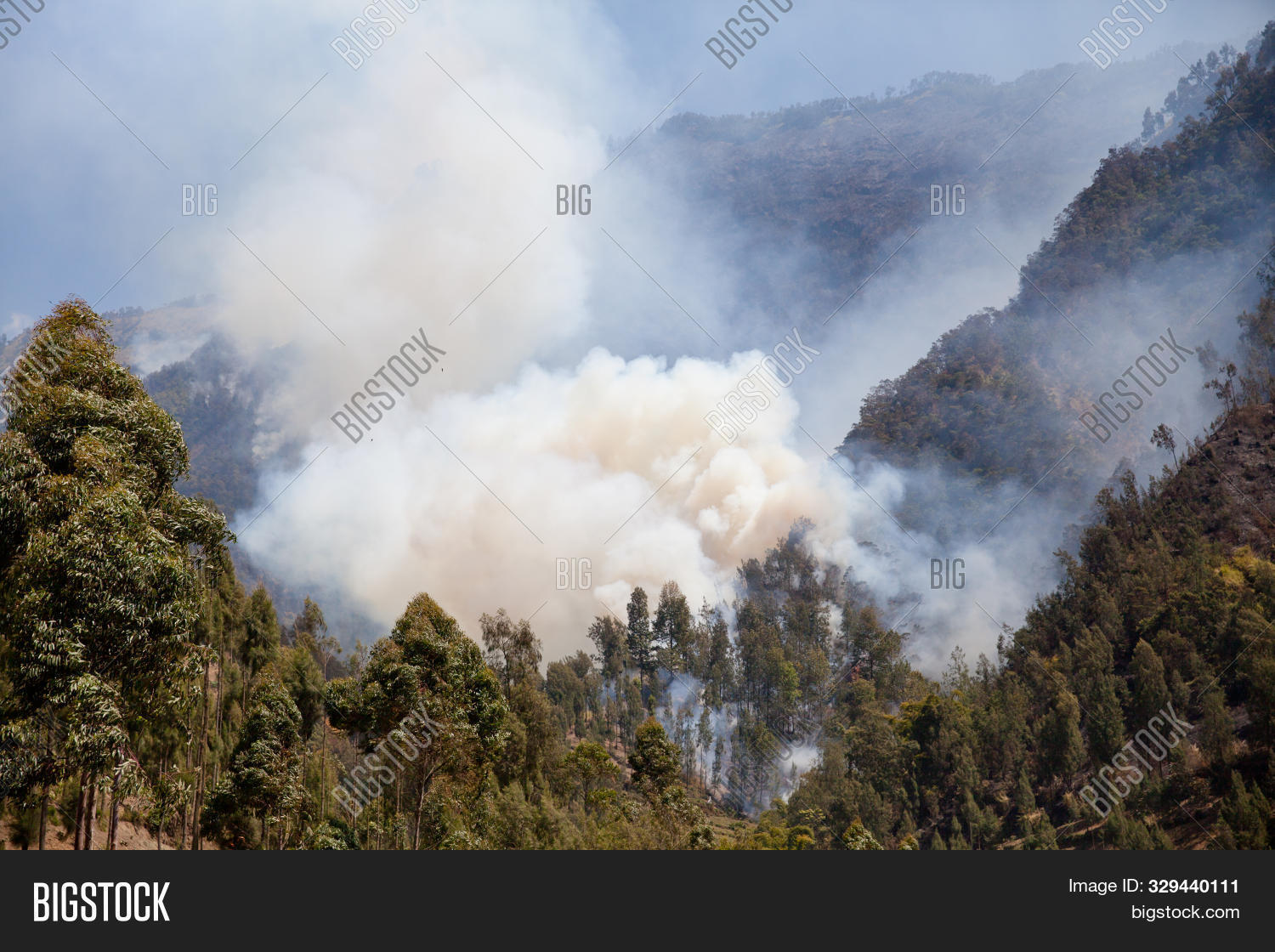 Fire Mountain Forest. Image & Photo (Free Trial) | Bigstock