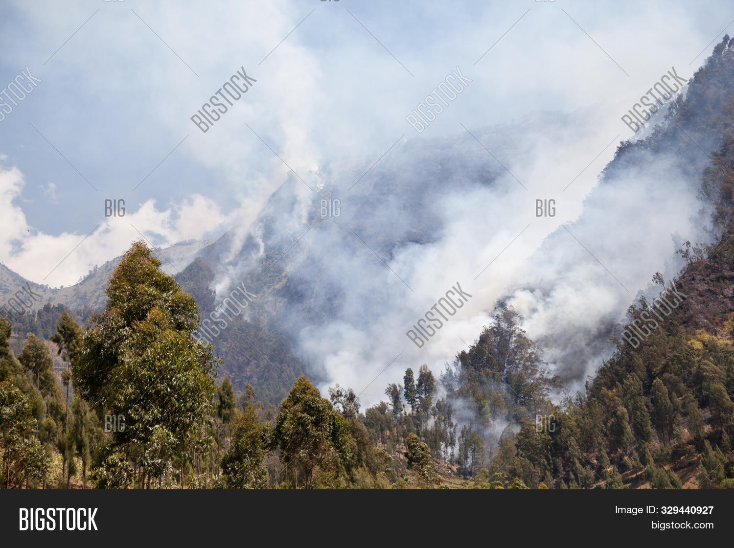 Fire Mountain Forest. Image & Photo (Free Trial) | Bigstock
