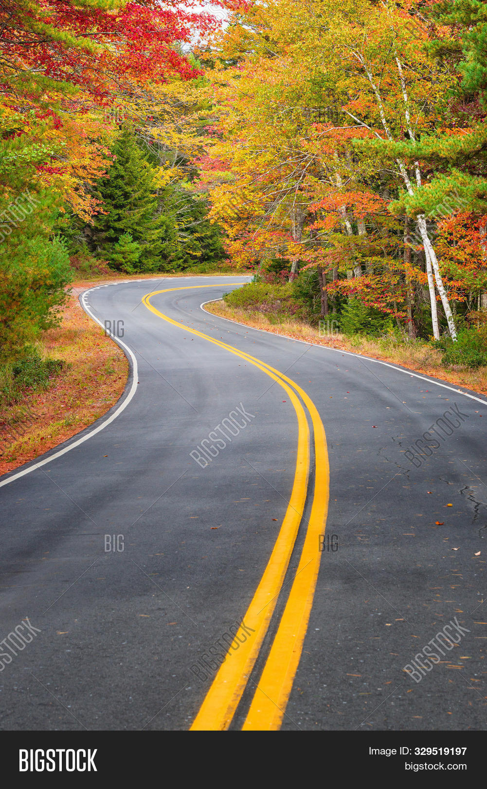 Winding Road Curves Image & Photo (Free Trial) | Bigstock