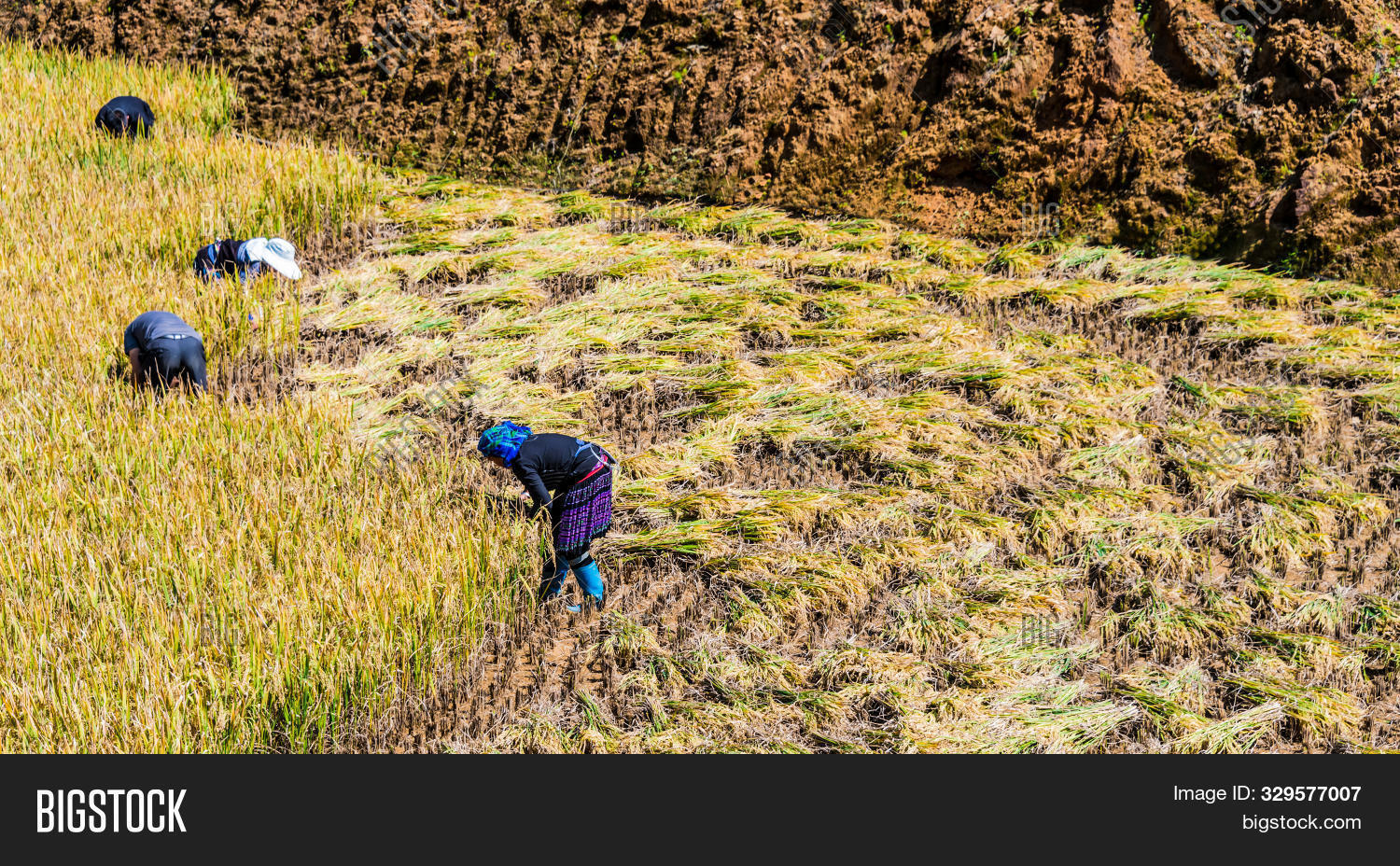 Self-sufficient Labor- Image & Photo (Free Trial) | Bigstock