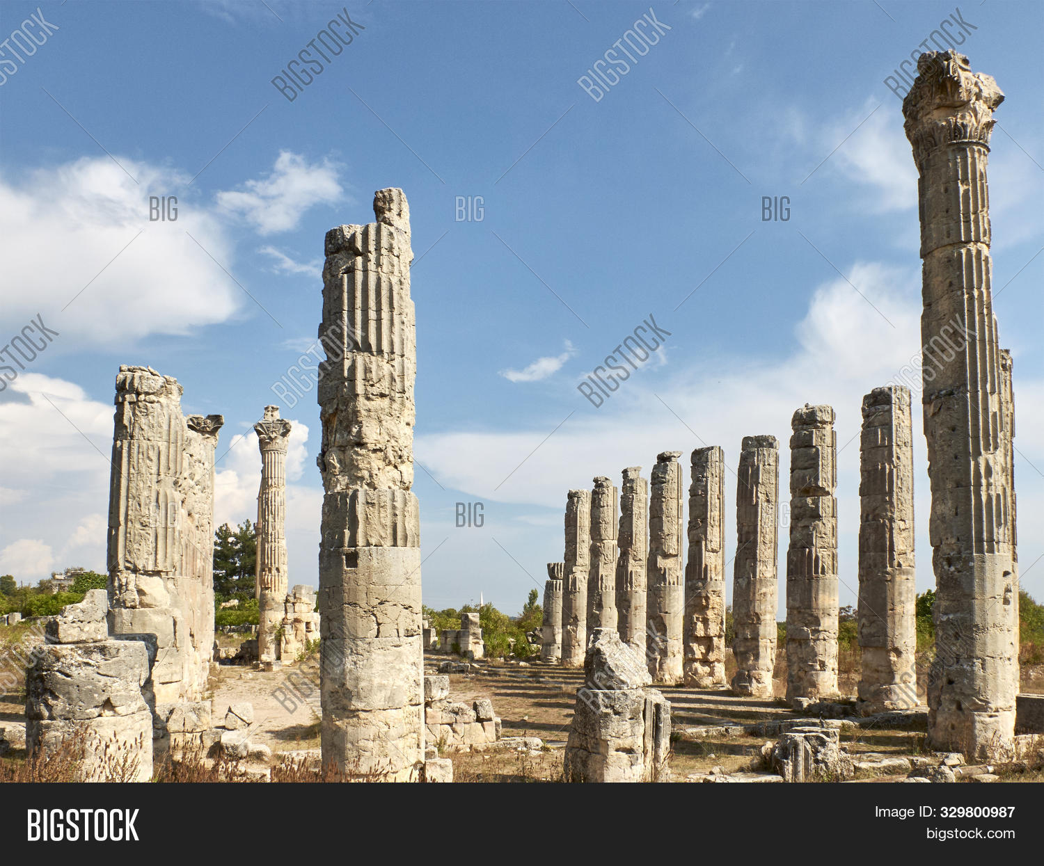Corynthian Columns Image & Photo (Free Trial) | Bigstock