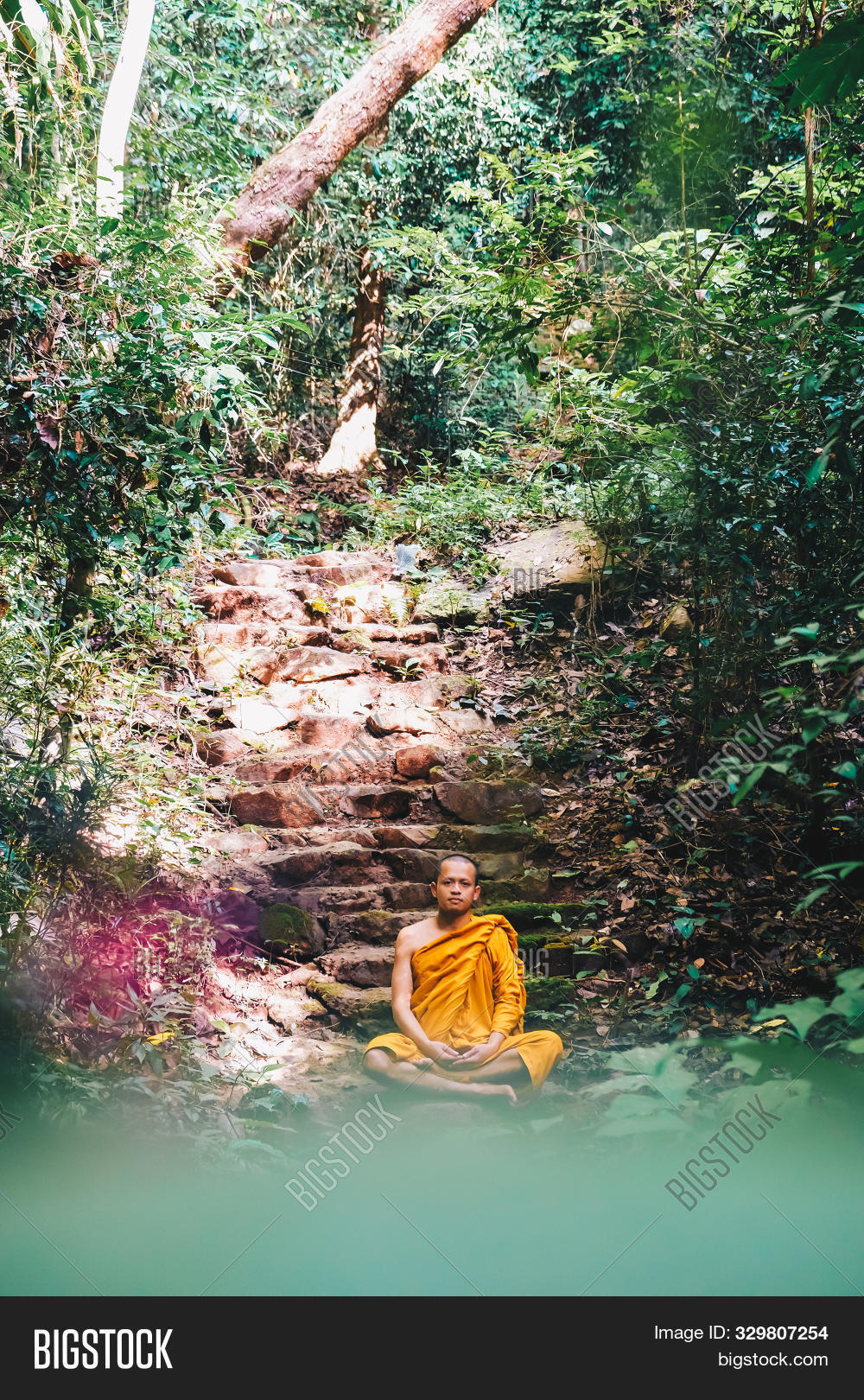 Buddhist Monks Meditation Forest