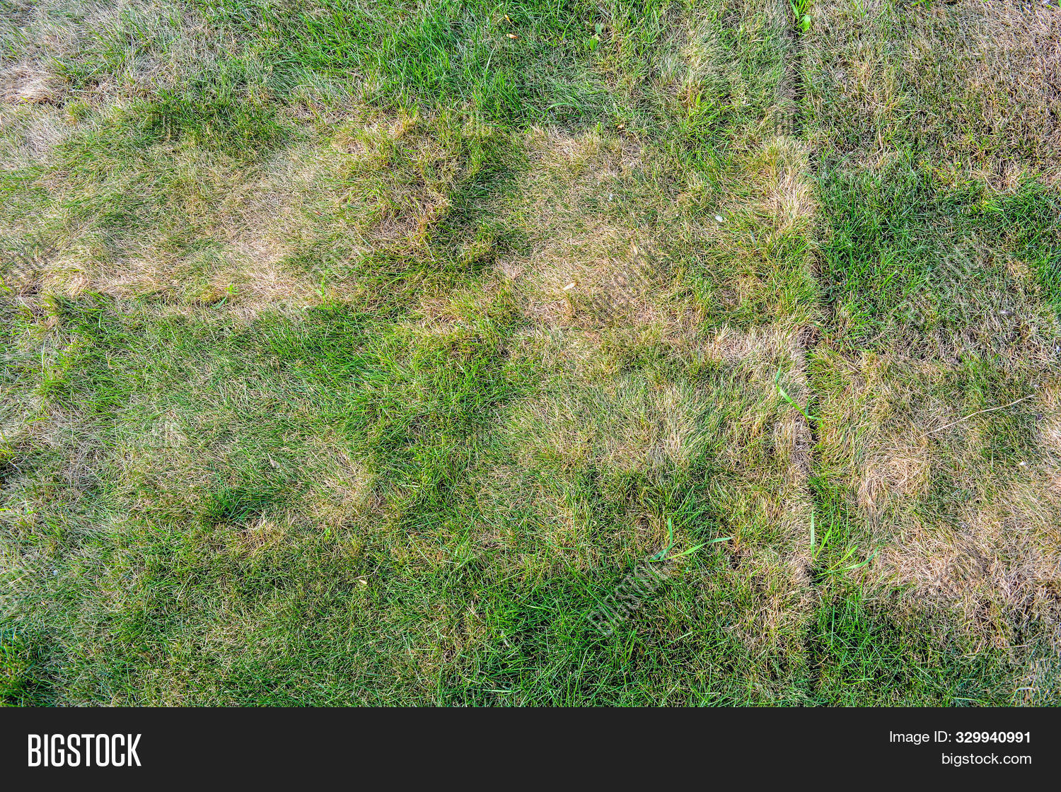 Lawn Briquettes Dying Image & Photo (Free Trial) | Bigstock