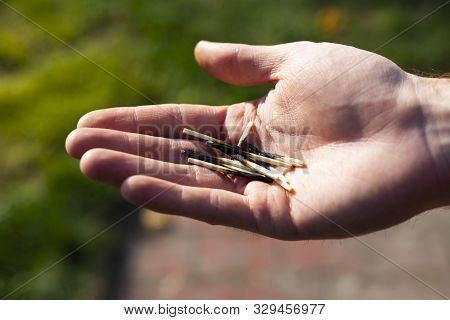 Male Hand Holding Image & Photo (Free Trial) | Bigstock