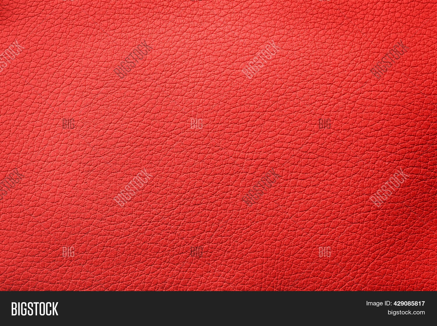 Luxury Red Leather Image & Photo (Free Trial) | Bigstock