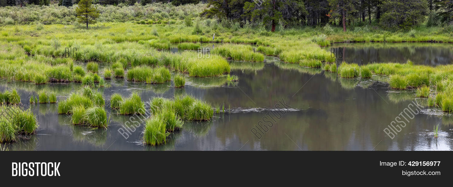 Panoramic View Marsh Image & Photo (Free Trial) | Bigstock