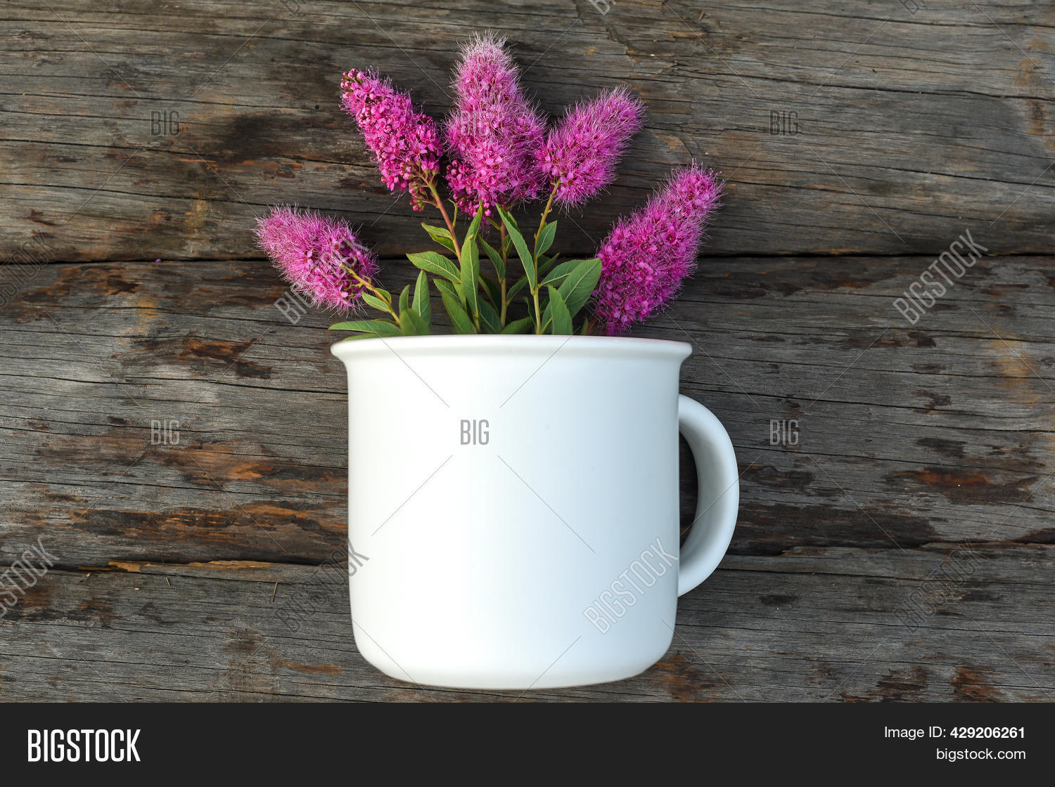 Mug Mockup Flat Lay. Image & Photo (Free Trial) | Bigstock