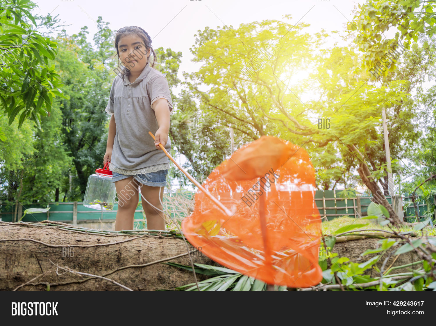 Asian Girl Along Bug Image & Photo (Free Trial) | Bigstock