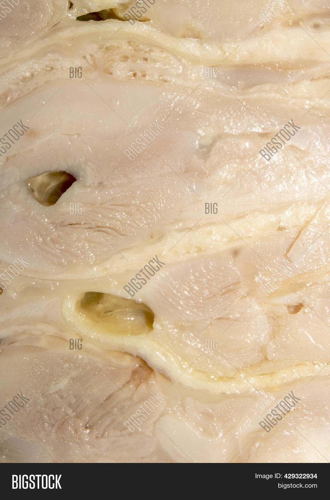 Pork Bird Background. Image & Photo (Free Trial) | Bigstock