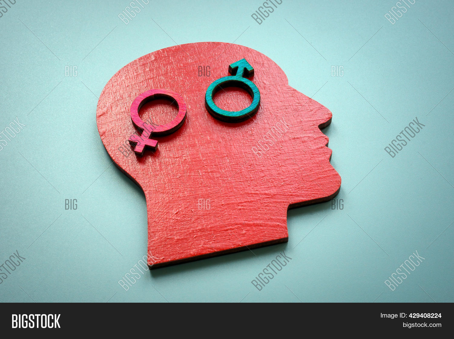 Gender Identity Image & Photo (Free Trial) | Bigstock