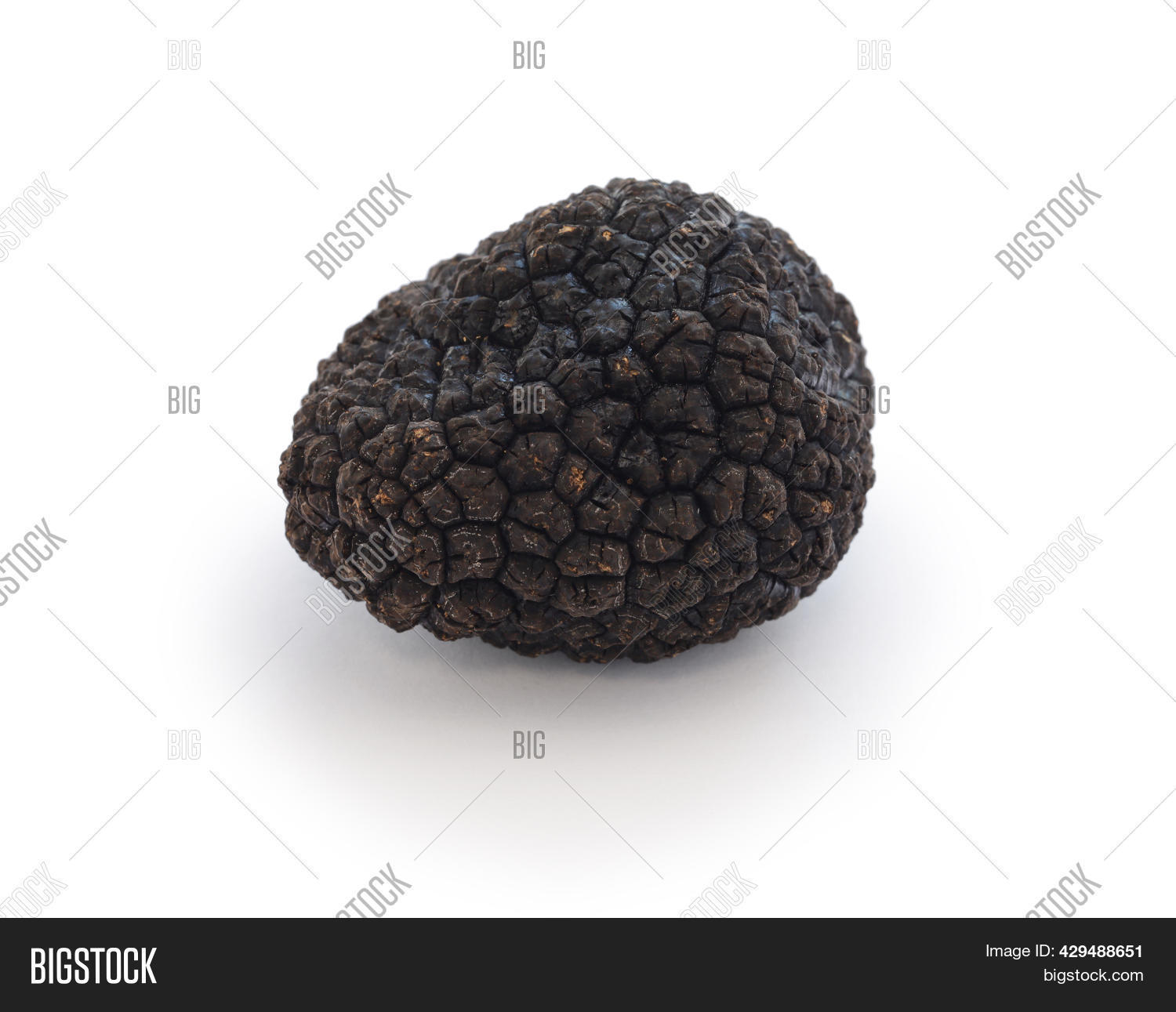Fresh Black Truffle Image & Photo (Free Trial) | Bigstock