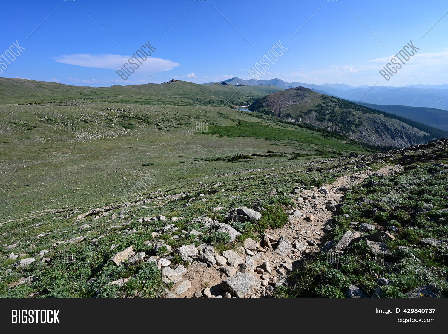 Alpine Tundra Above Image & Photo (Free Trial) | Bigstock
