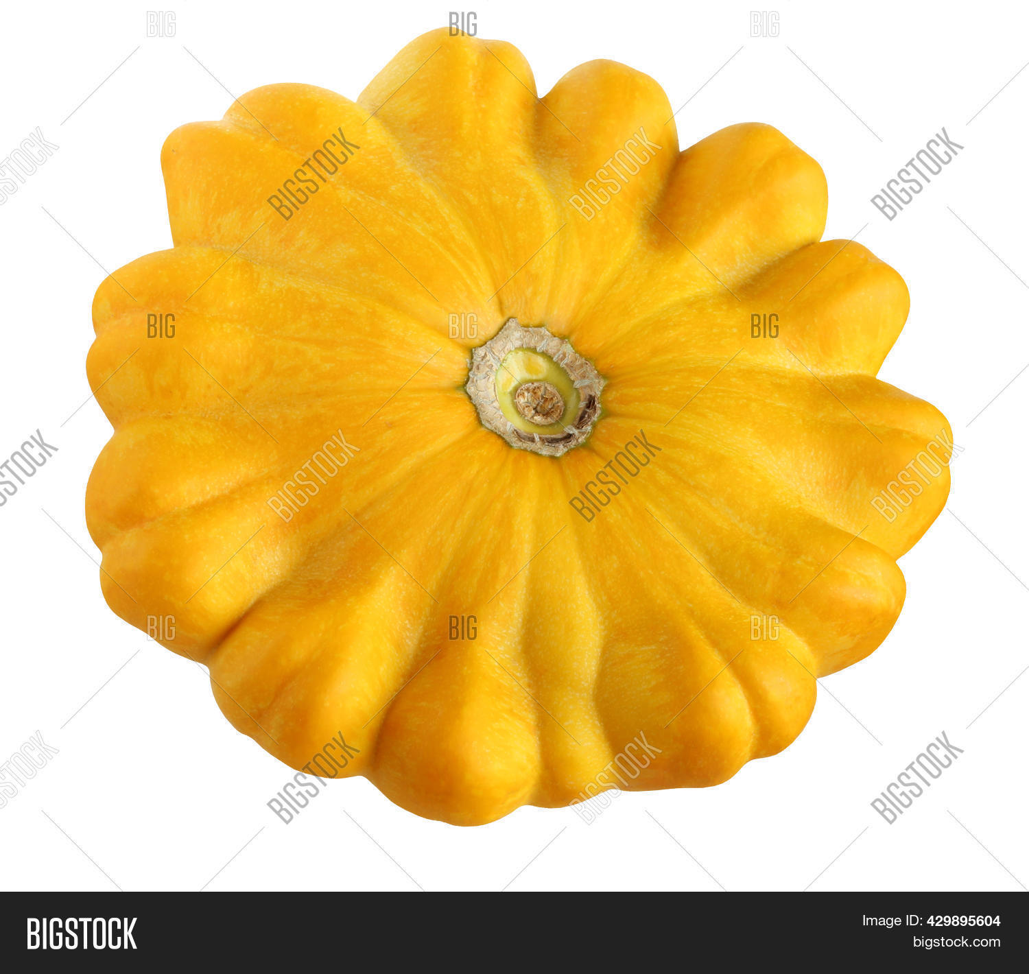 Patisson Squash Image & Photo (Free Trial) | Bigstock