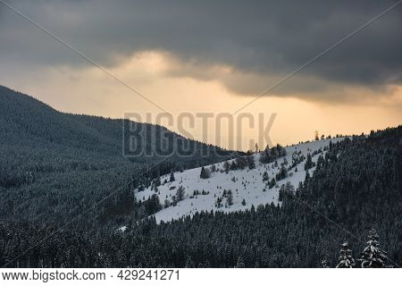 Gloomy Winter Image & Photo (Free Trial) | Bigstock