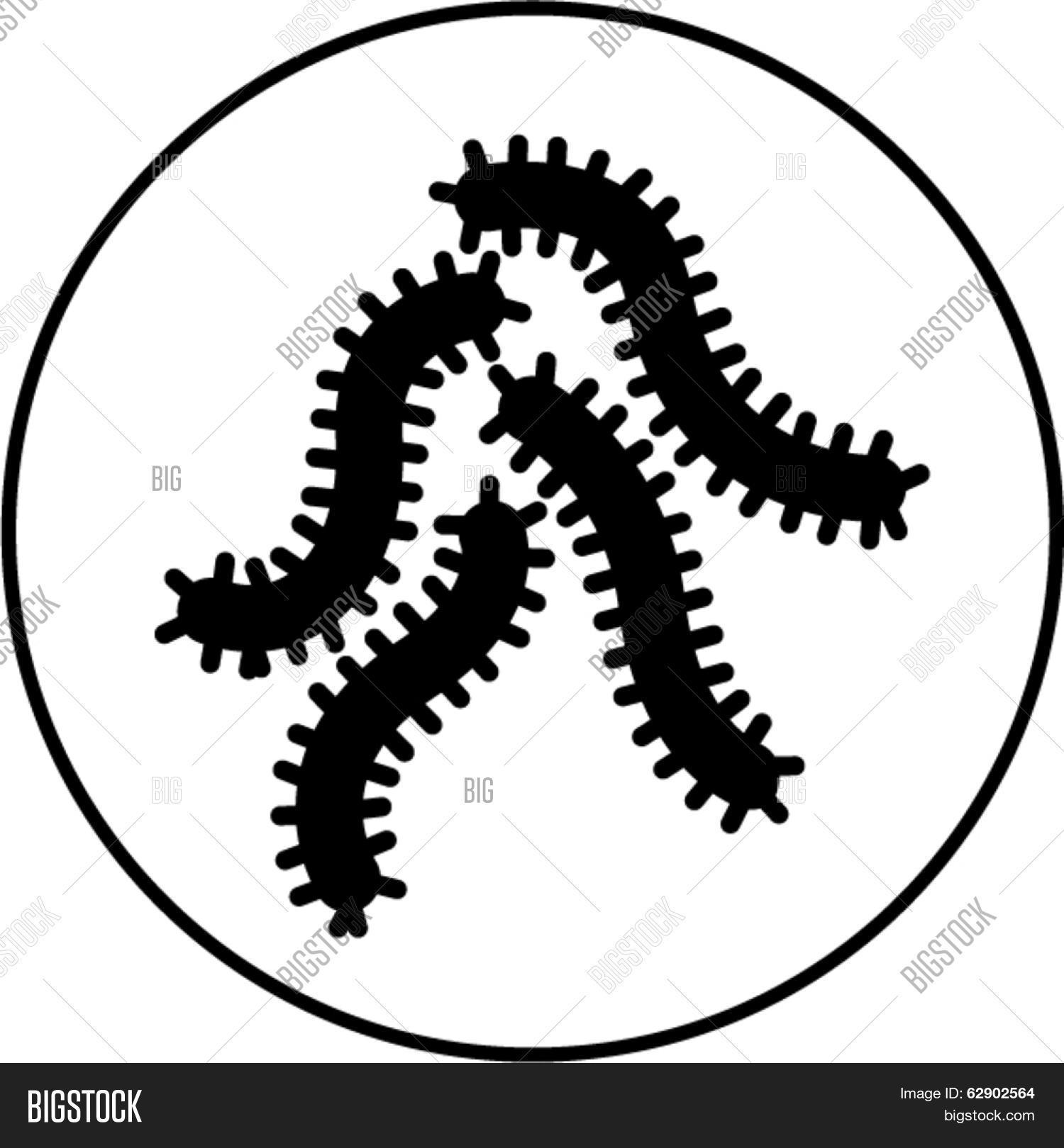 Bacteria Symbol Vector & Photo (Free Trial) | Bigstock