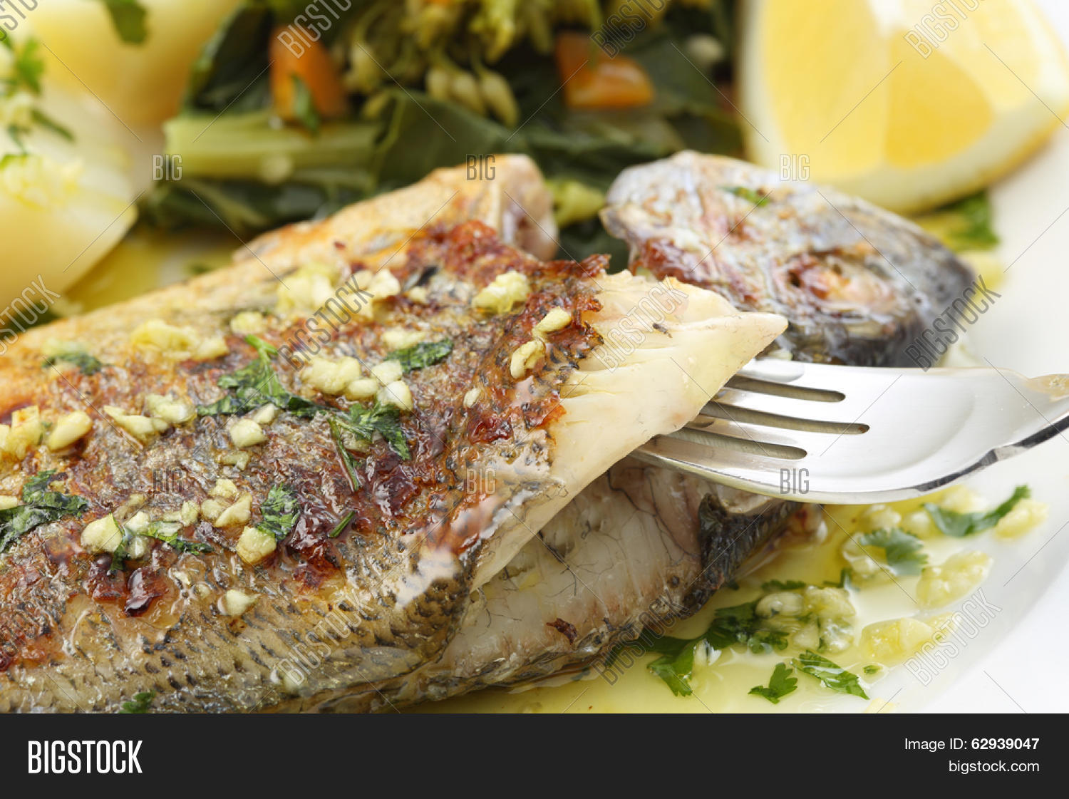 Very Fresh Seabream Image & Photo (Free Trial) | Bigstock