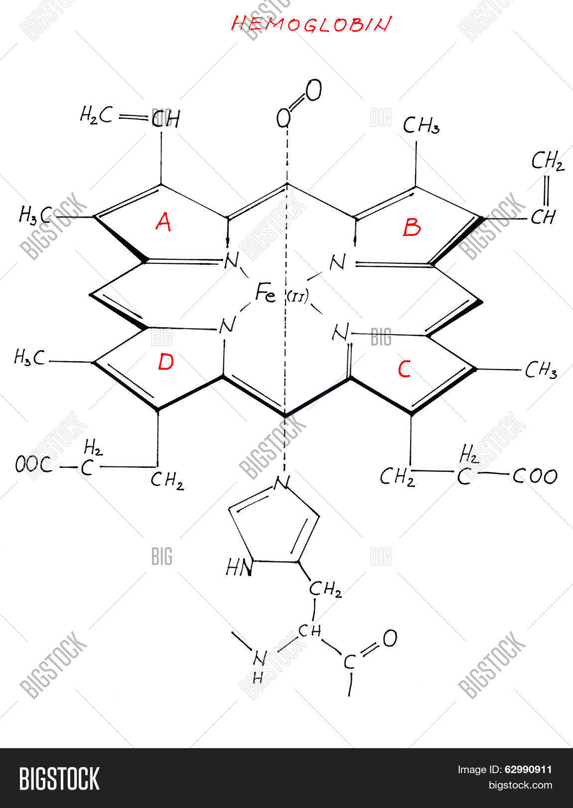 Hemoglobin`s Chemical Image & Photo (Free Trial) | Bigstock