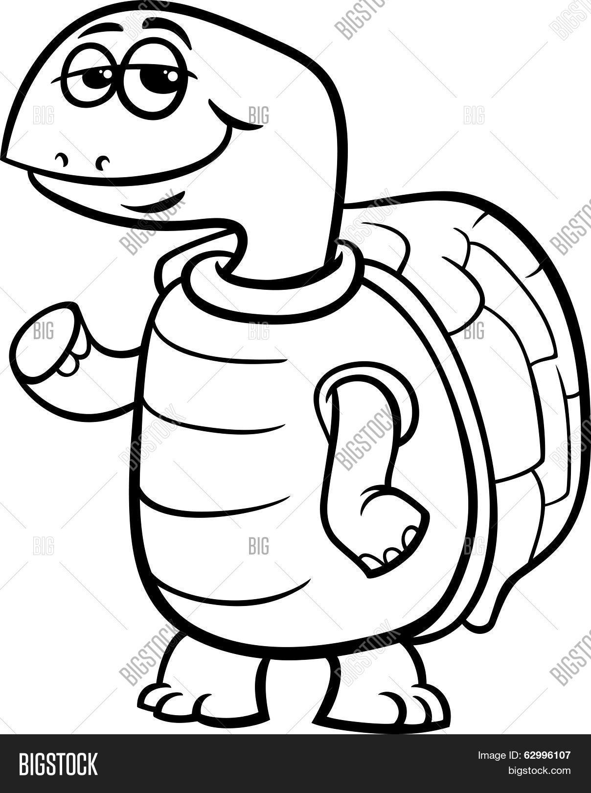 Turtle Cartoon Vector & Photo (Free Trial) | Bigstock