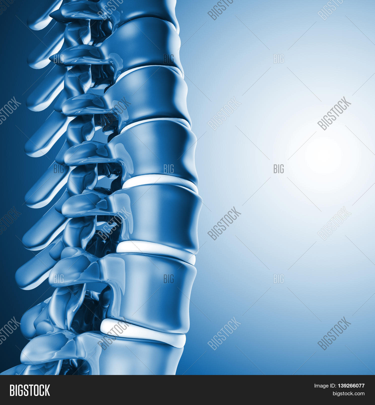 3d Image Human Spinal Image & Photo (Free Trial) | Bigstock