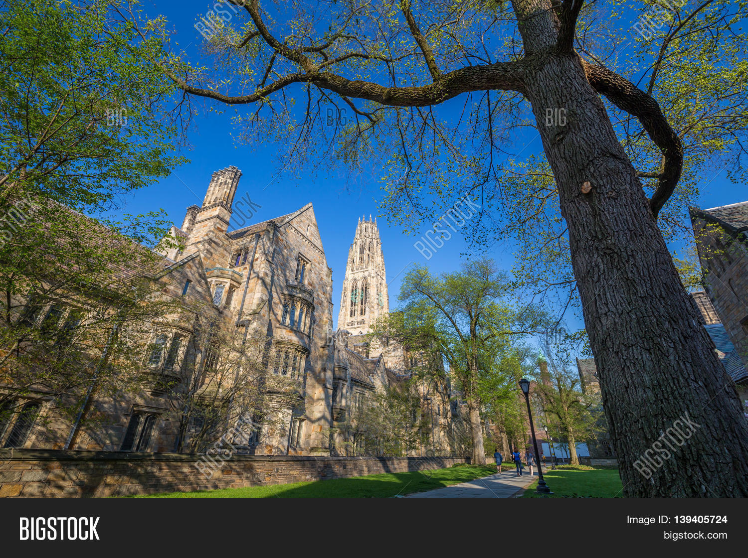Yale University Image & Photo (Free Trial) | Bigstock