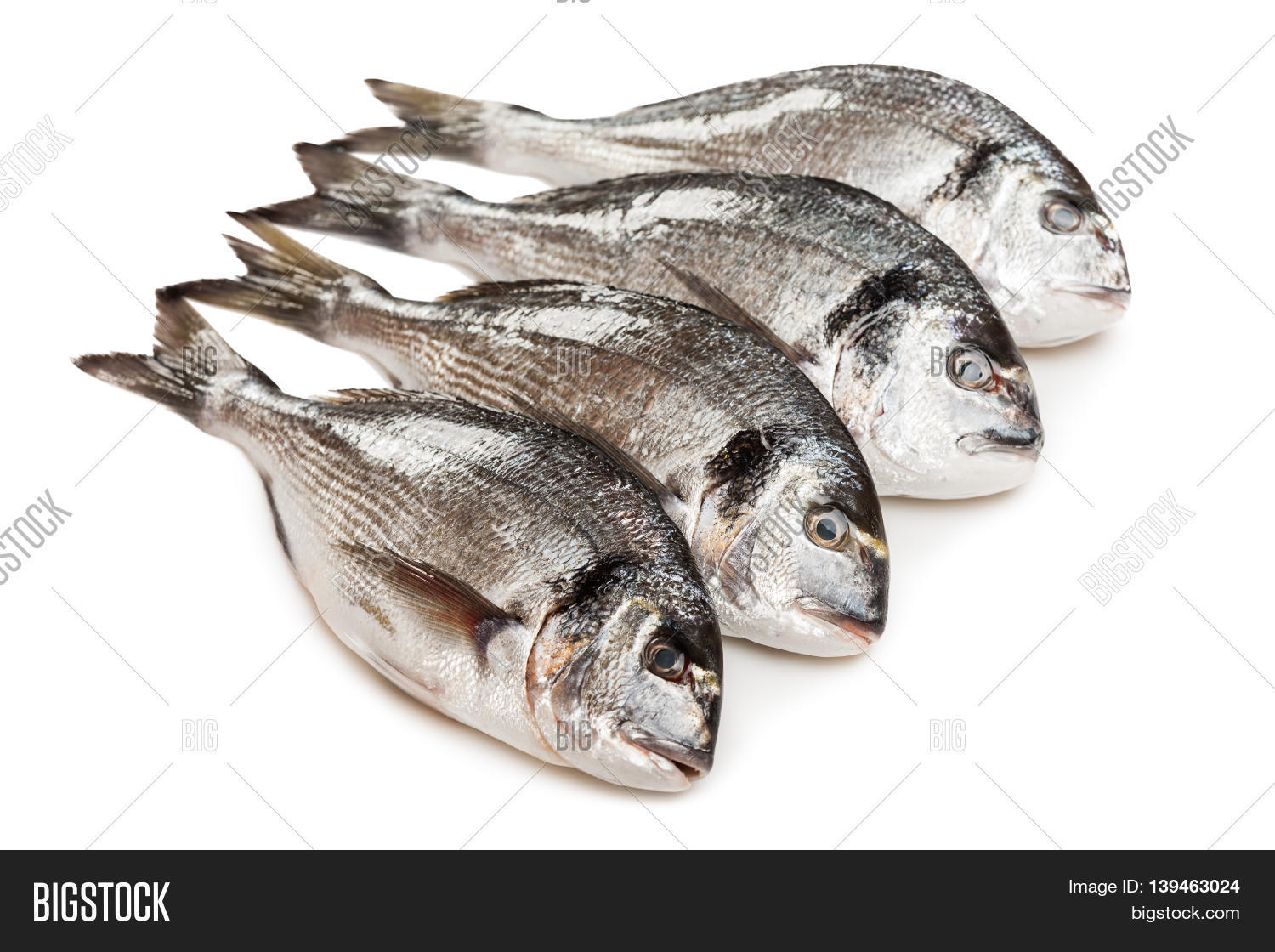 Gilt-head Fish Food Image & Photo (Free Trial) | Bigstock