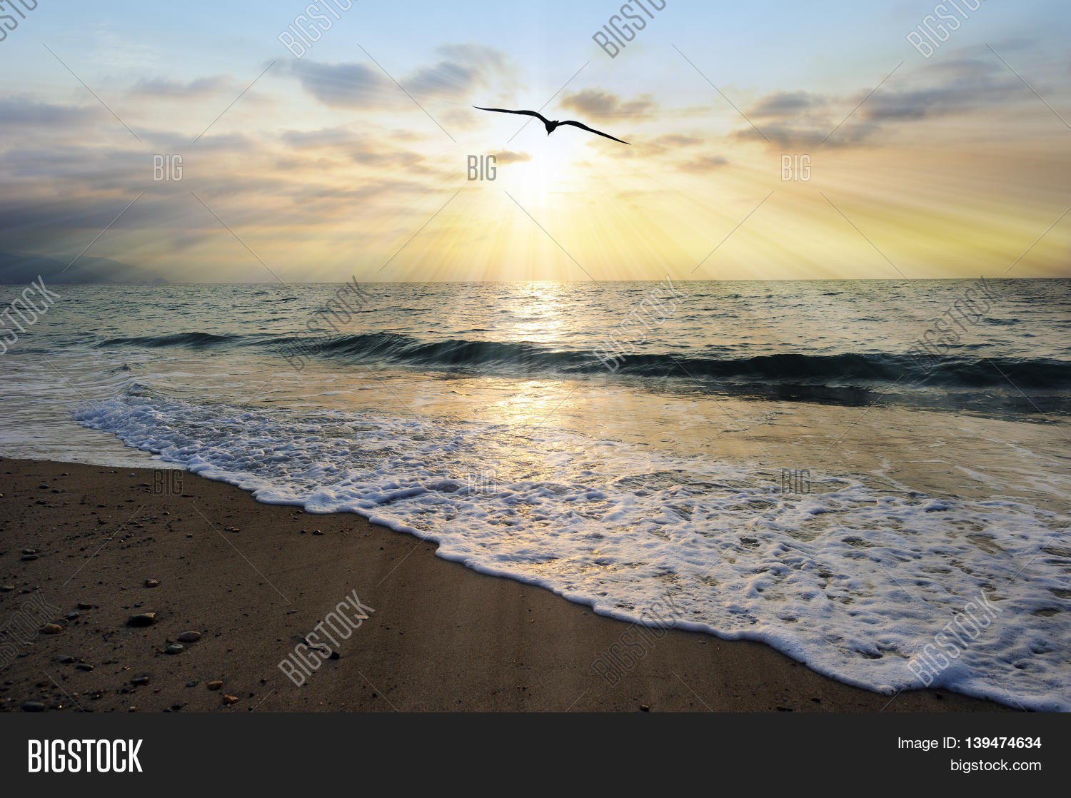 Ocean Sunset Rays Image & Photo (Free Trial) | Bigstock