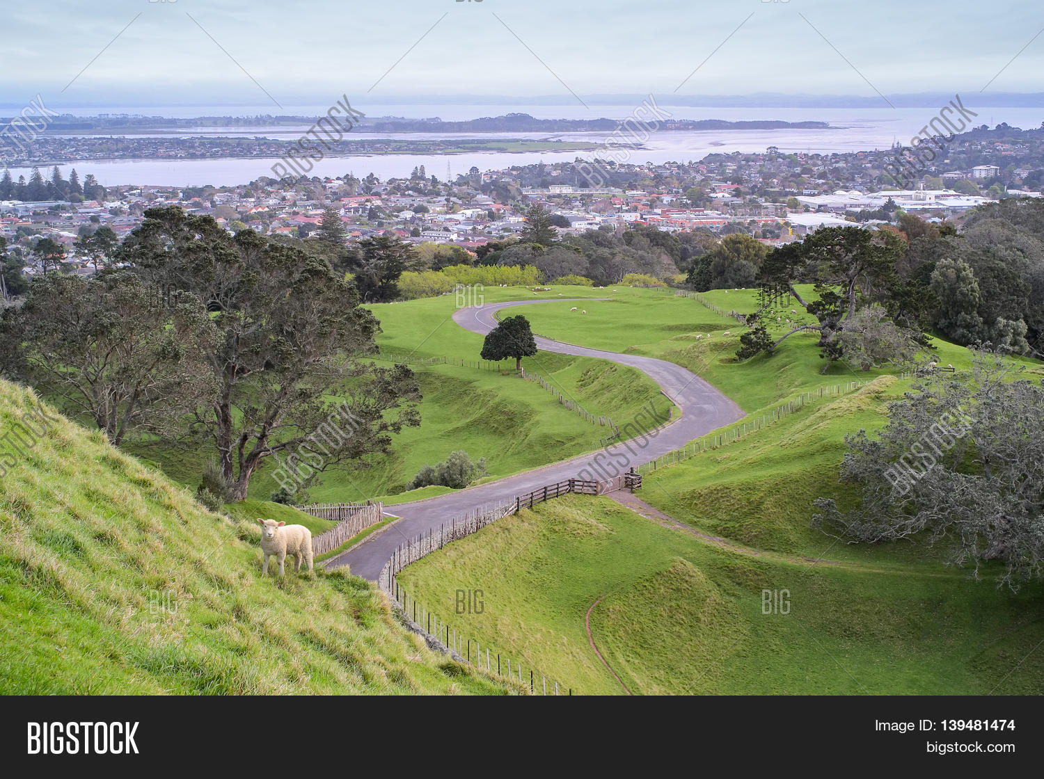 One Tree Hill Park Image & Photo (Free Trial) | Bigstock
