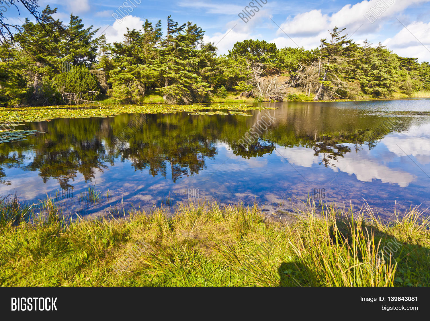 Untouched Nature On Image & Photo (Free Trial) | Bigstock