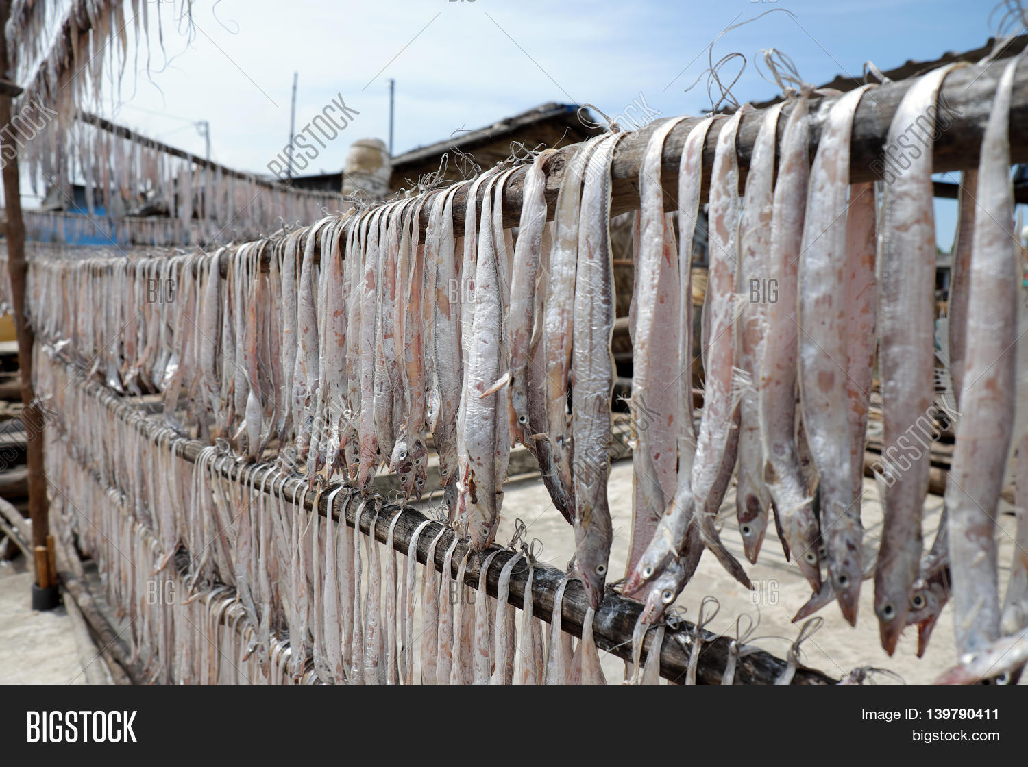 Dried Fish Ca Mau Image & Photo (Free Trial) | Bigstock