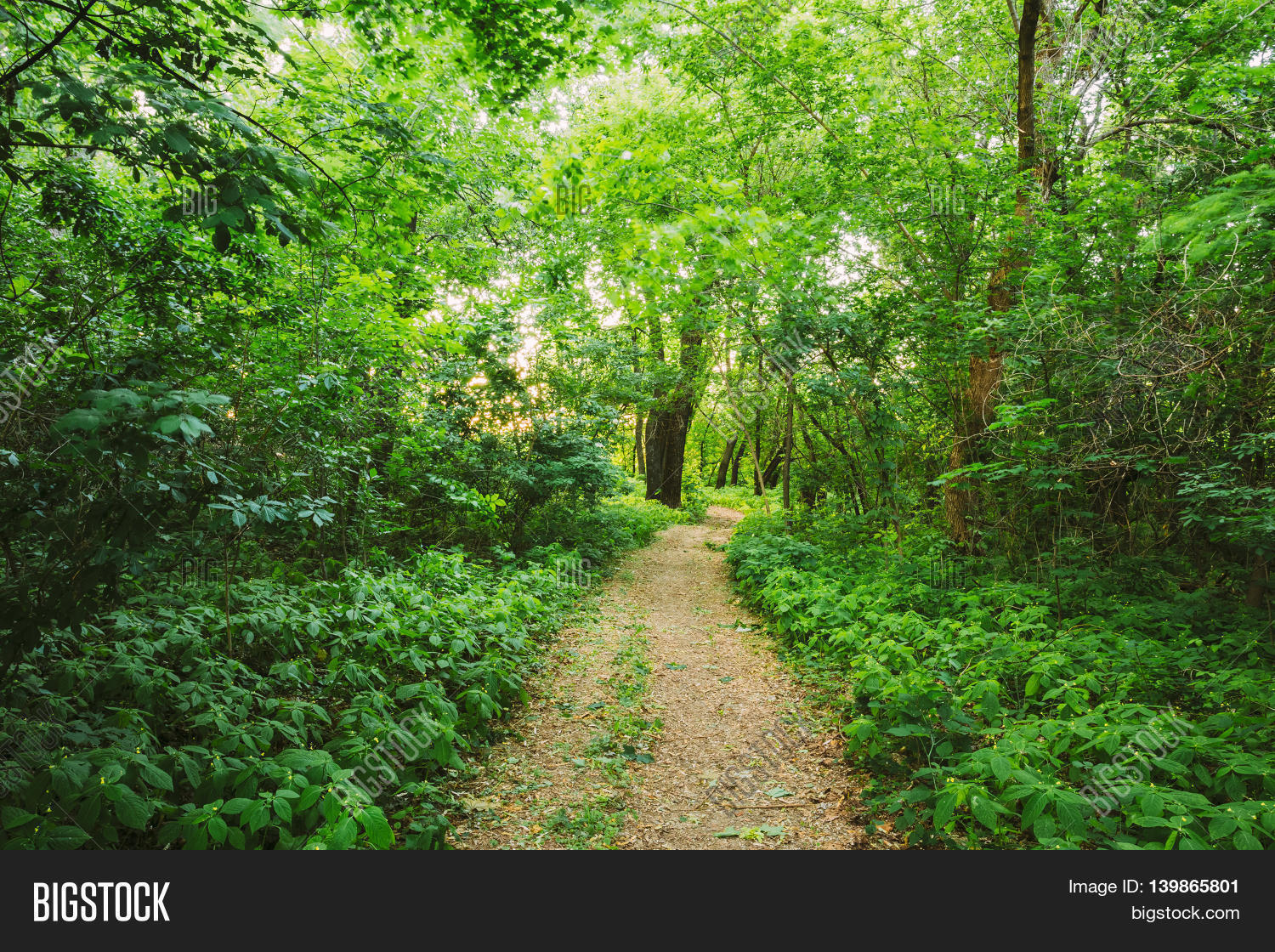 Summer Landscape Image & Photo (Free Trial) | Bigstock