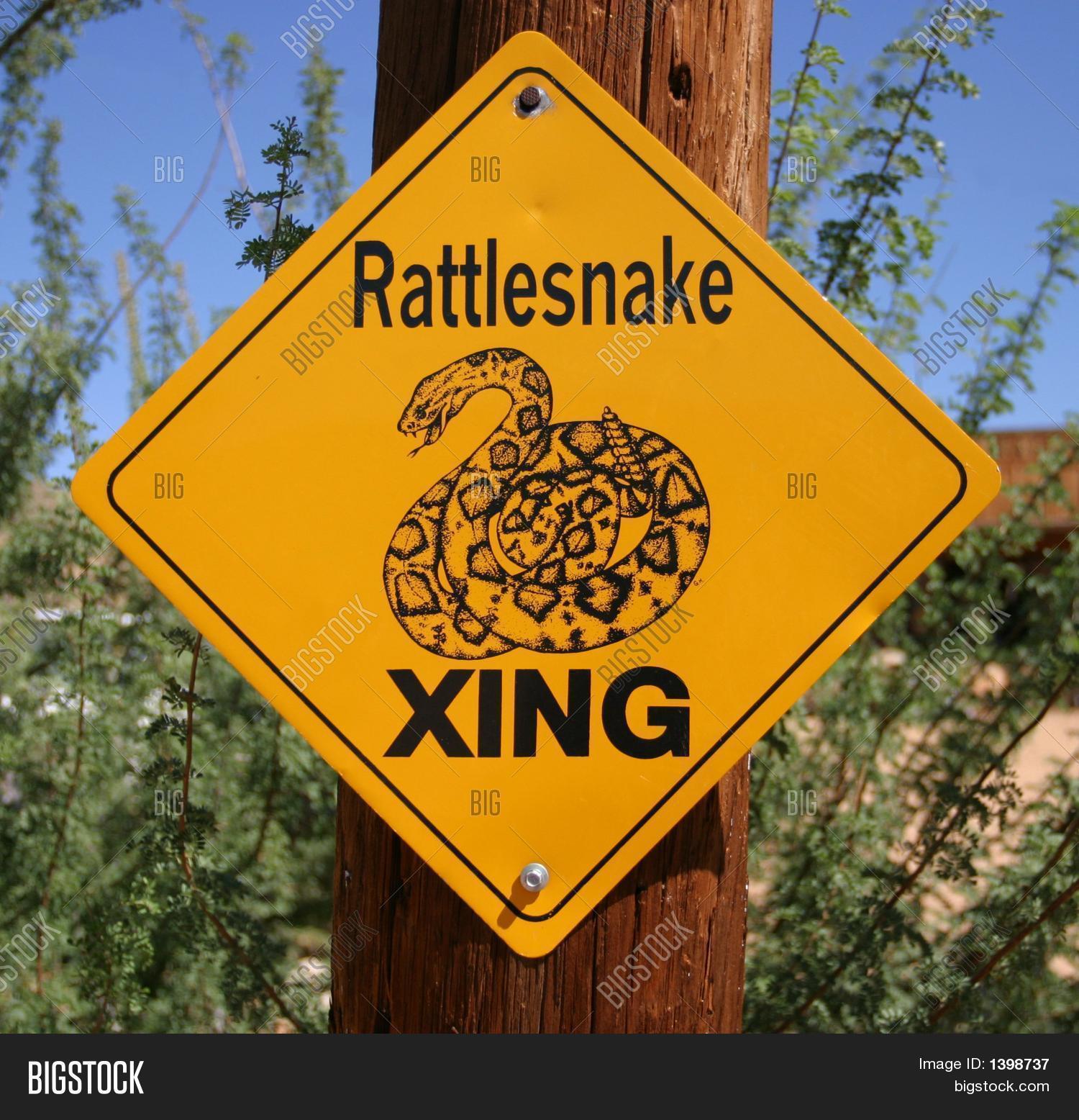 Snake Warning Sign Image & Photo (Free Trial) | Bigstock