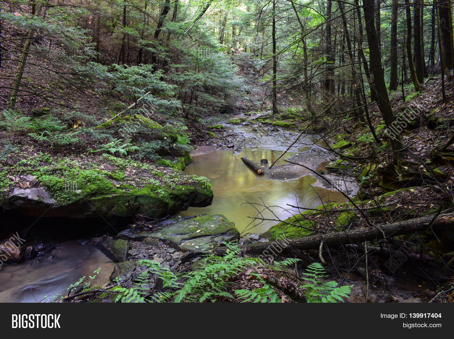Small Forested Image & Photo (Free Trial) | Bigstock