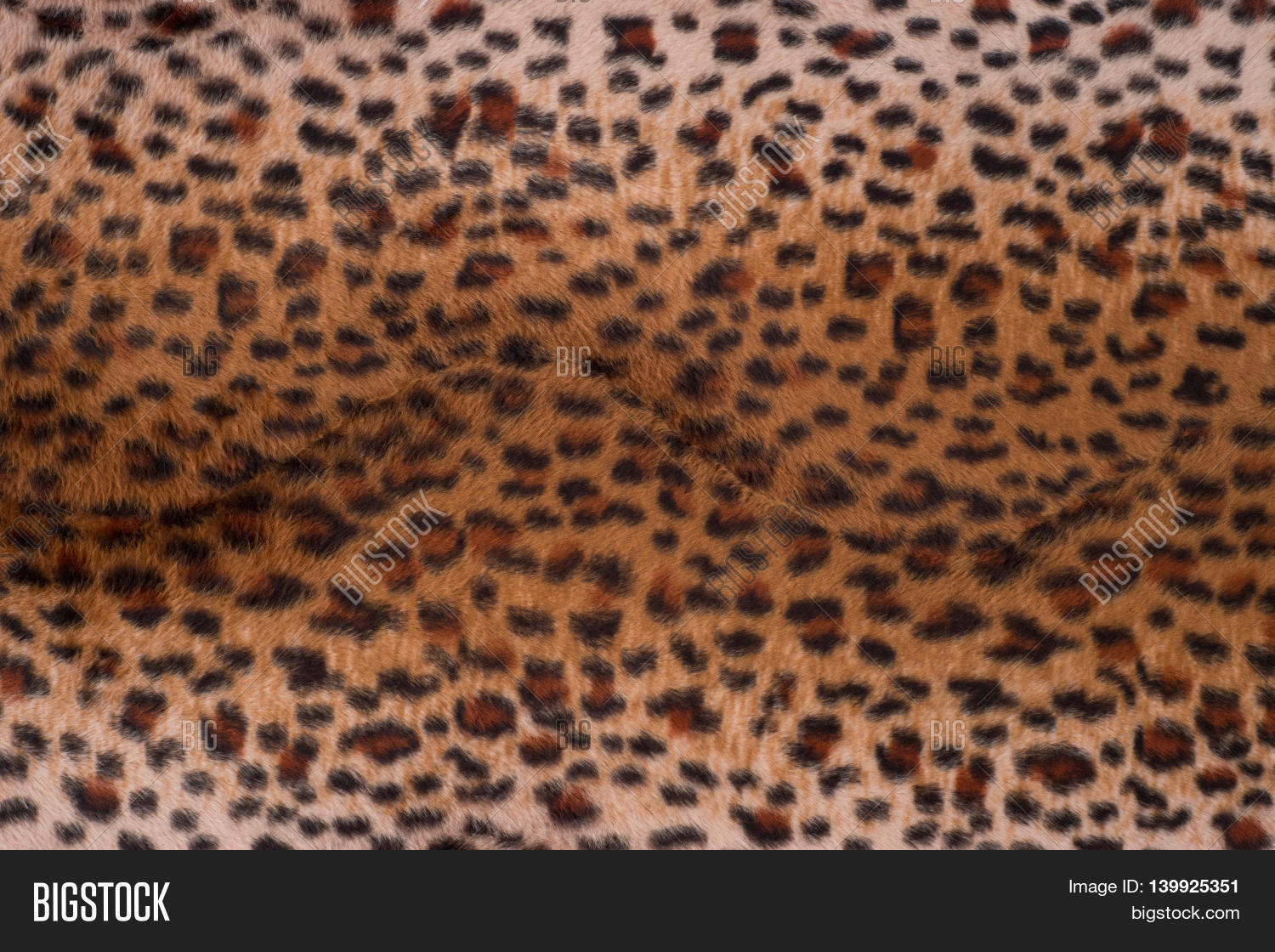 Leopard Skin Texture Image & Photo (Free Trial) | Bigstock