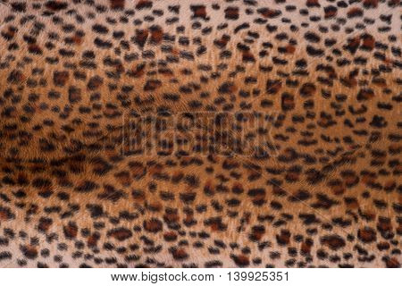 Leopard Skin Texture Image & Photo (Free Trial) | Bigstock