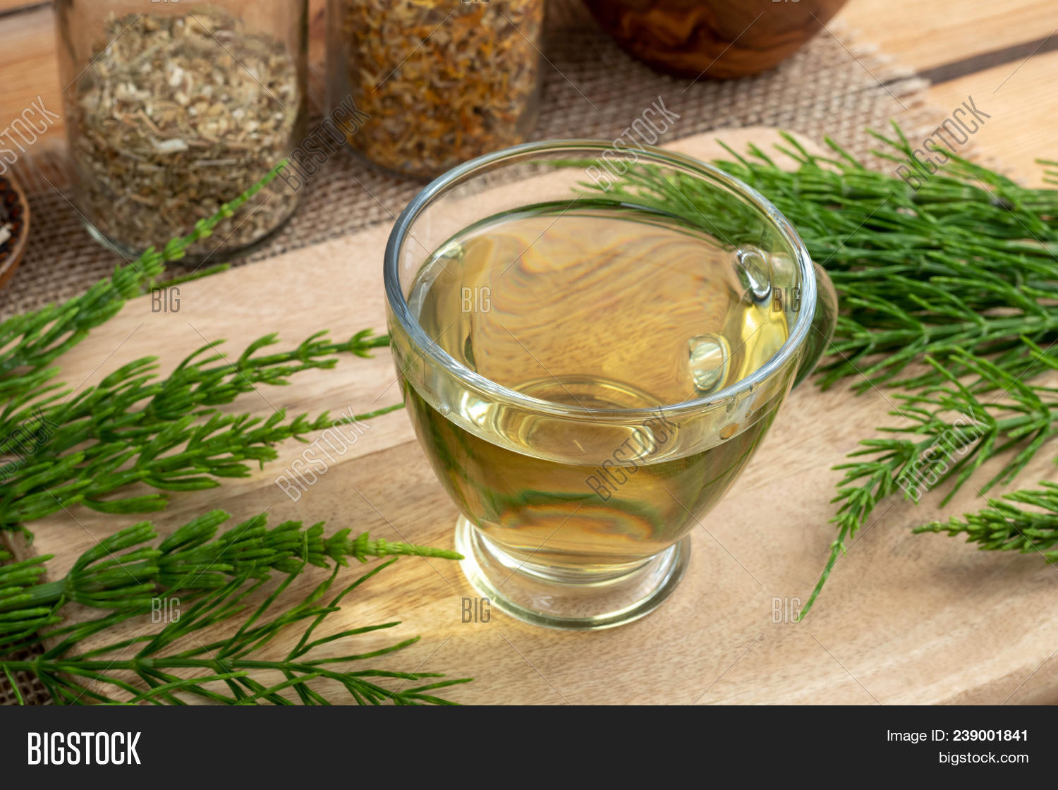 Cup Horsetail Tea Image & Photo (Free Trial) | Bigstock