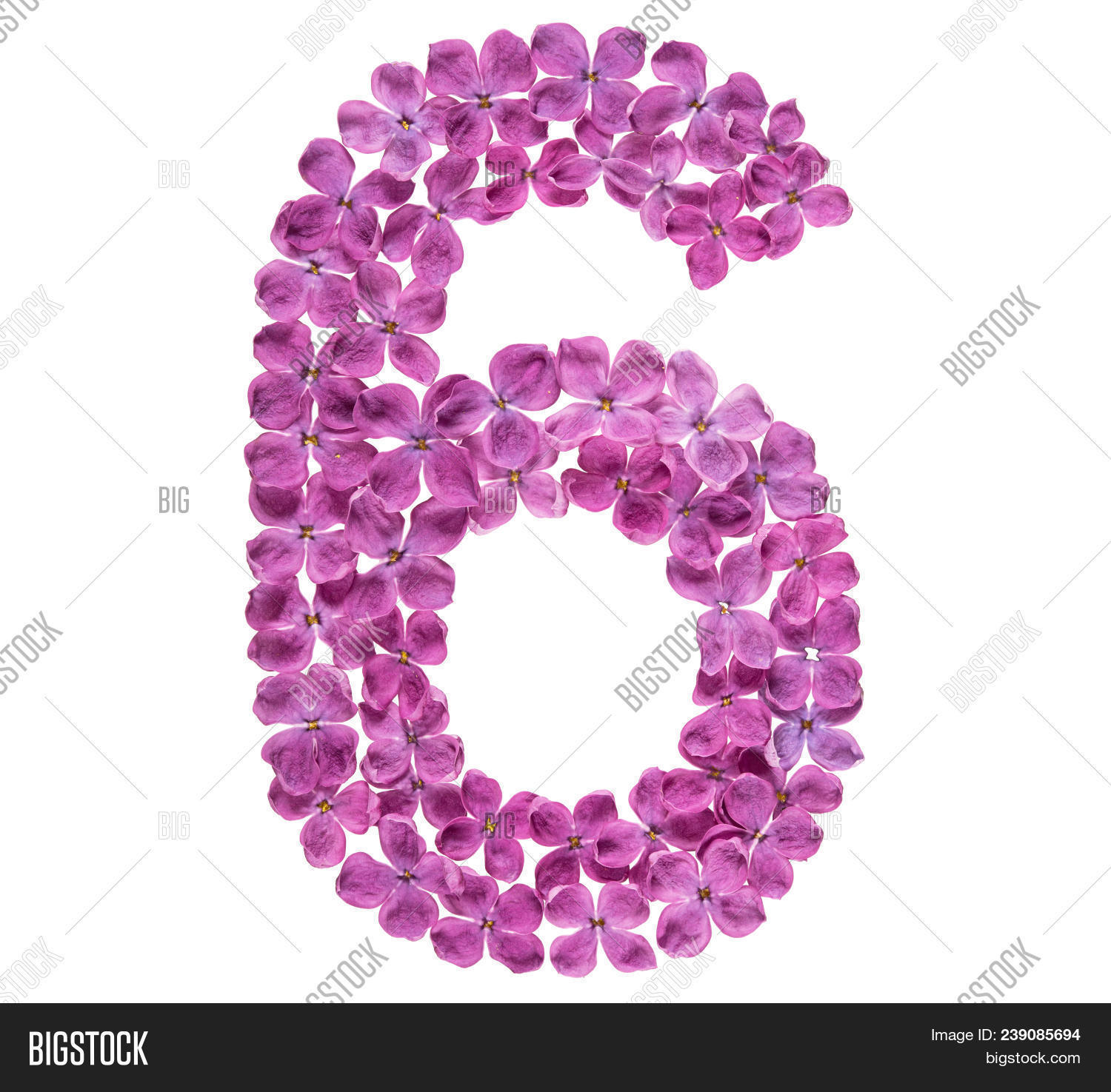 Arabic Numeral 6, Six Image & Photo (Free Trial) | Bigstock