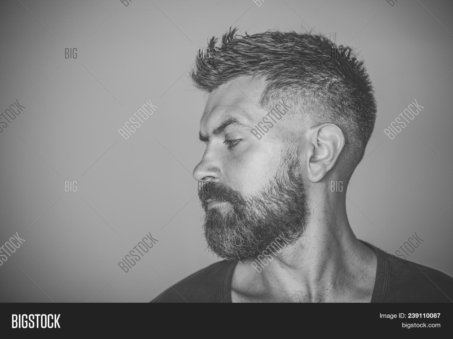 Man Bearded Face Image & Photo (Free Trial) | Bigstock