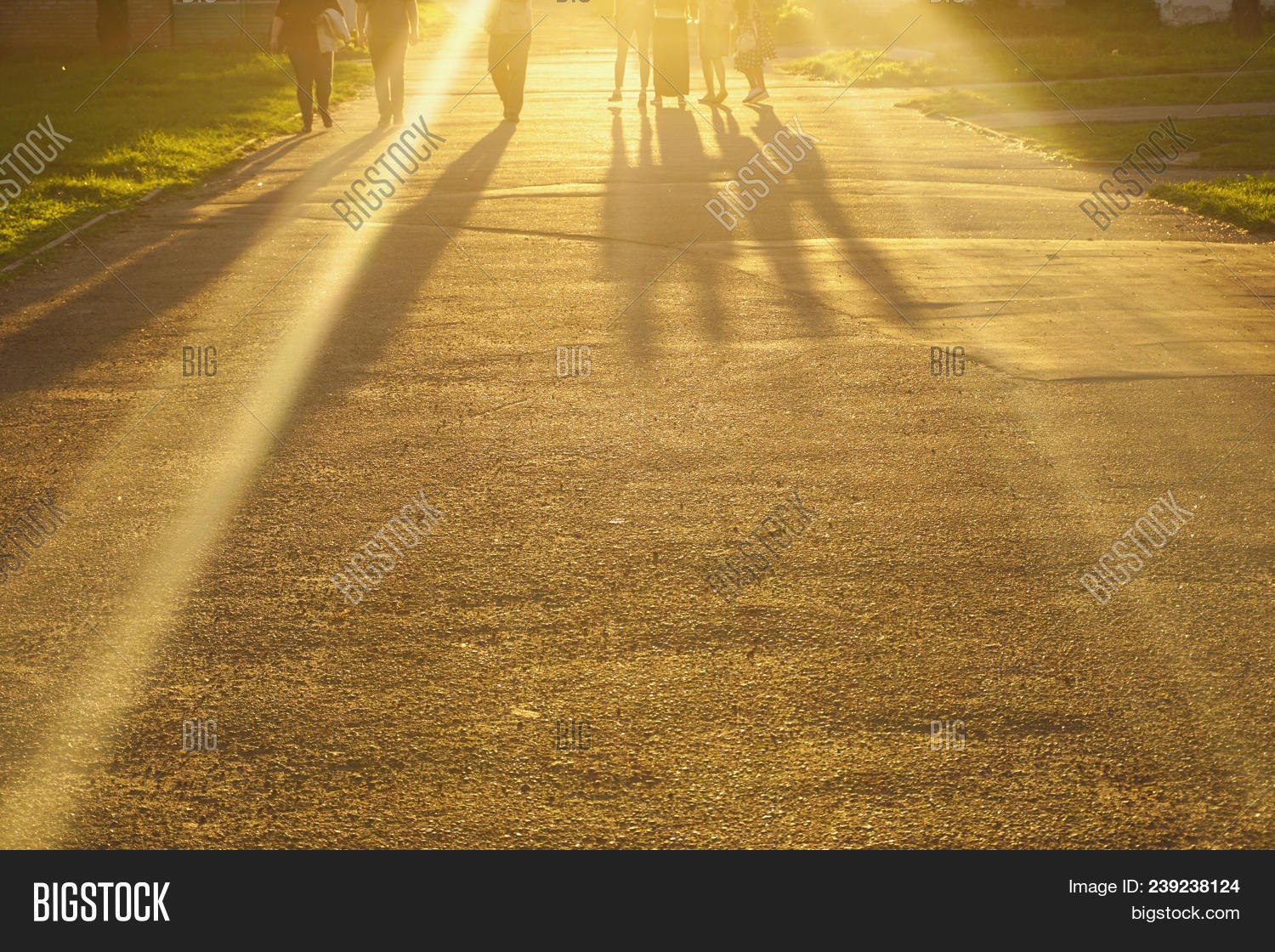 Shadows Girls Sunny Image & Photo (Free Trial) | Bigstock