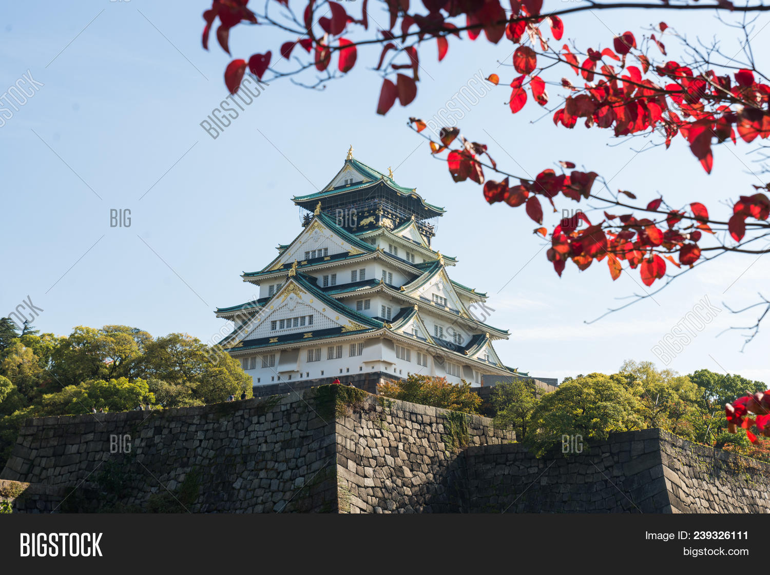 Royal Palace Japan