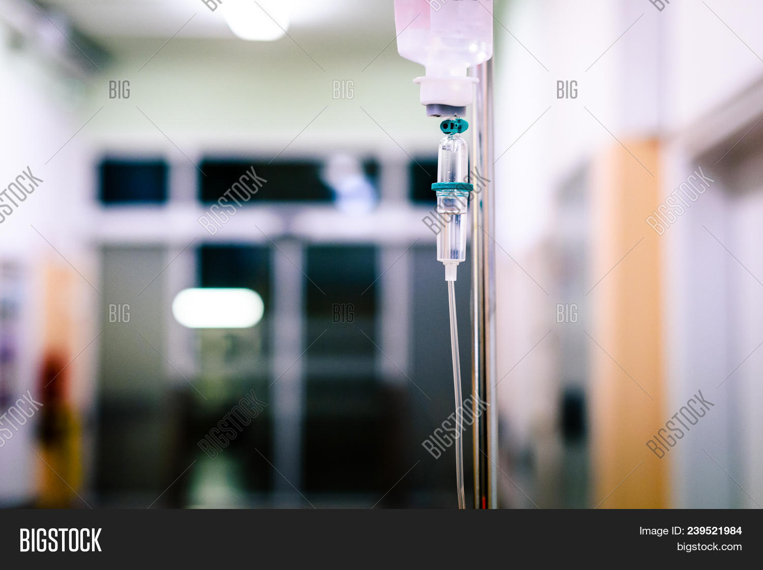 Intravenous Therapy Iv Image & Photo (Free Trial) | Bigstock