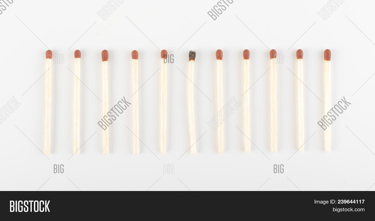One Burned Match Among Image & Photo (Free Trial) | Bigstock